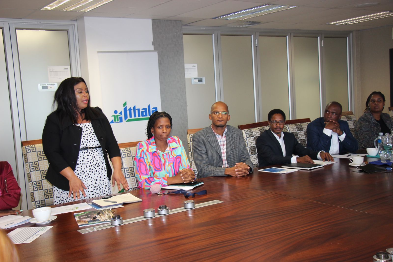 Home Main - Umzinyathi